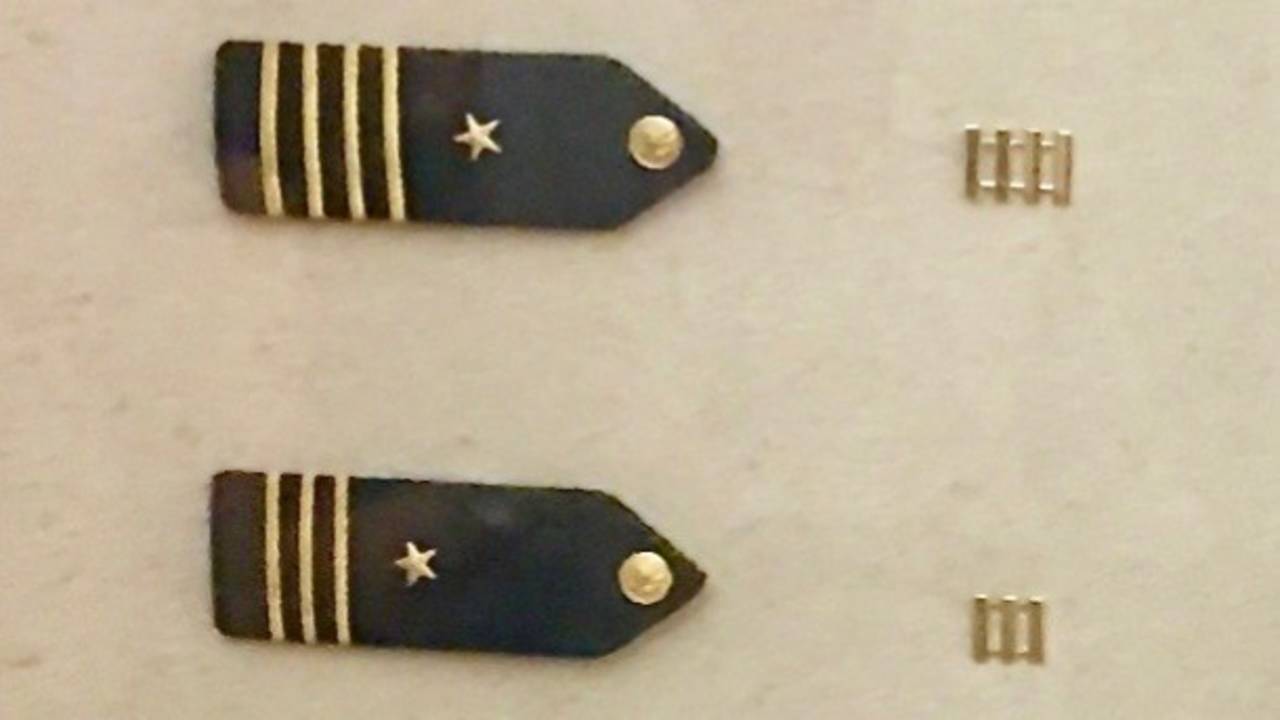 Understanding the Plebe Organization Summer