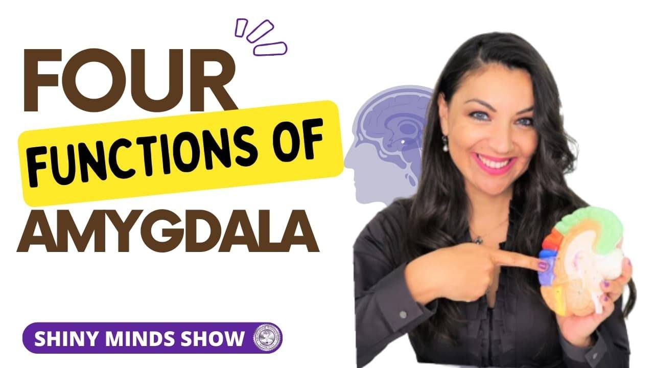 4 Functions Of Amygdala | Shiny Unsal
