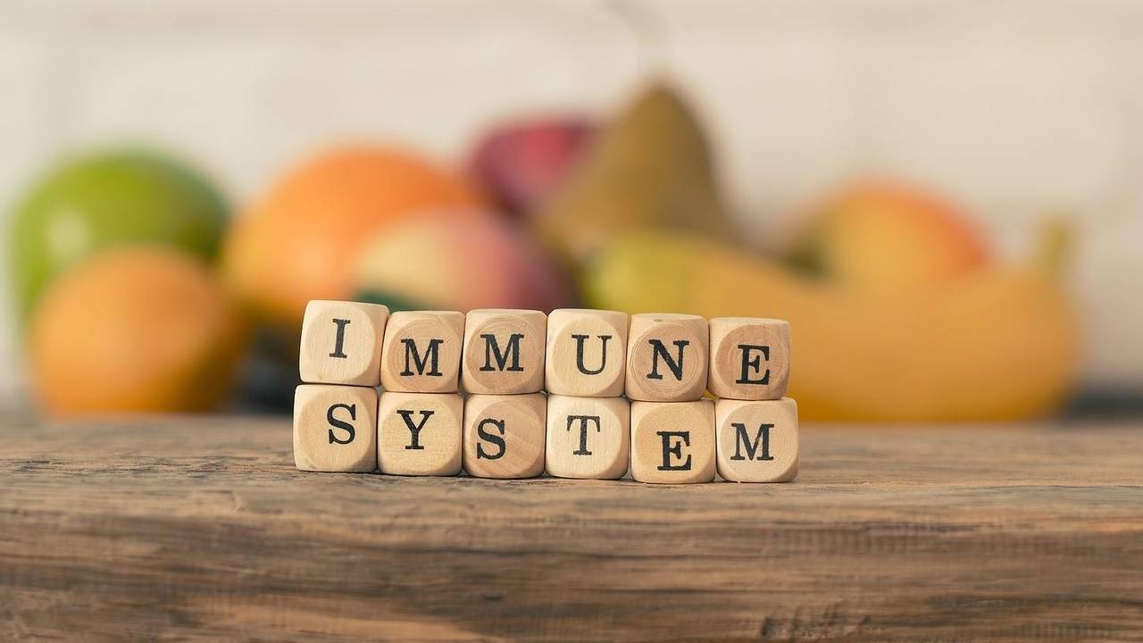 How to Optimize your Immune System with Nutrition