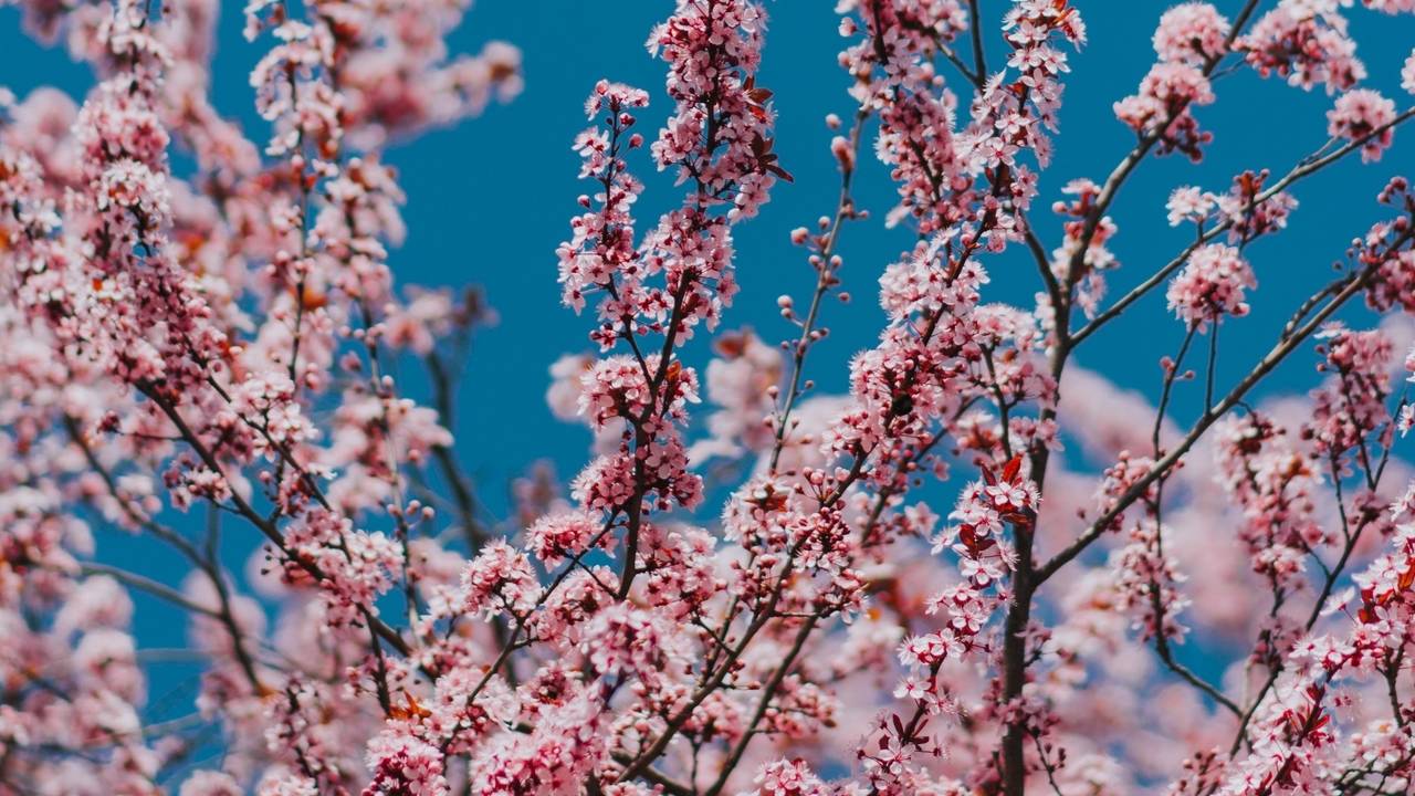 Springing into Self Growth