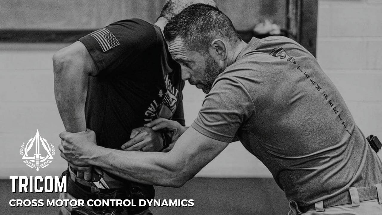 Gross Motor Control Dynamics