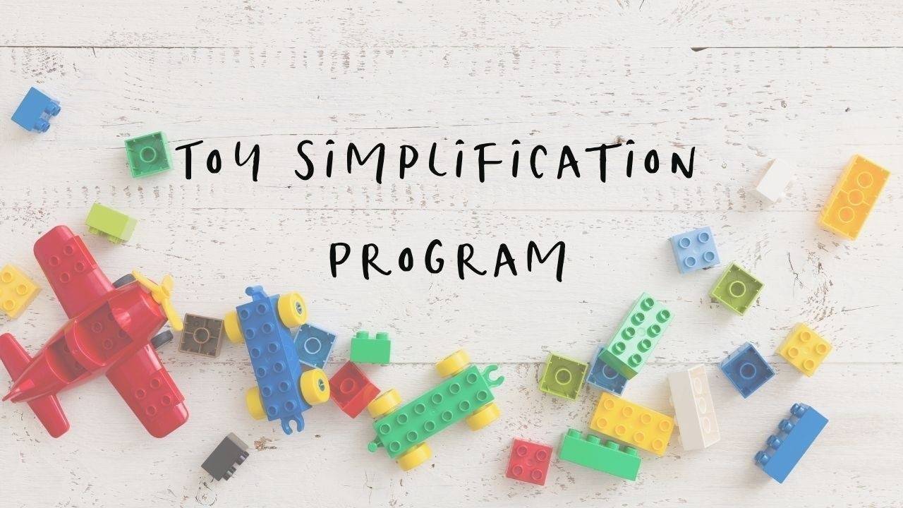 Toy Simplification Program Information