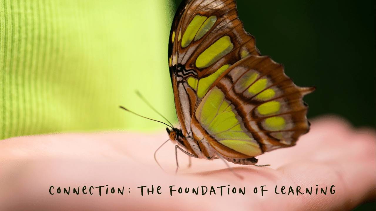 Connection: the foundation of learning in early childhood
