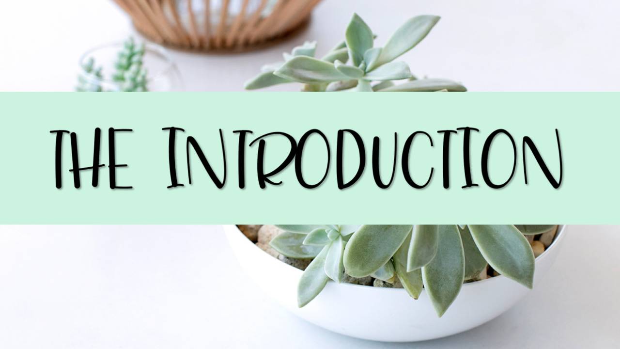Persuasive Introductory Paragraph persuasive-introductory-paragraph