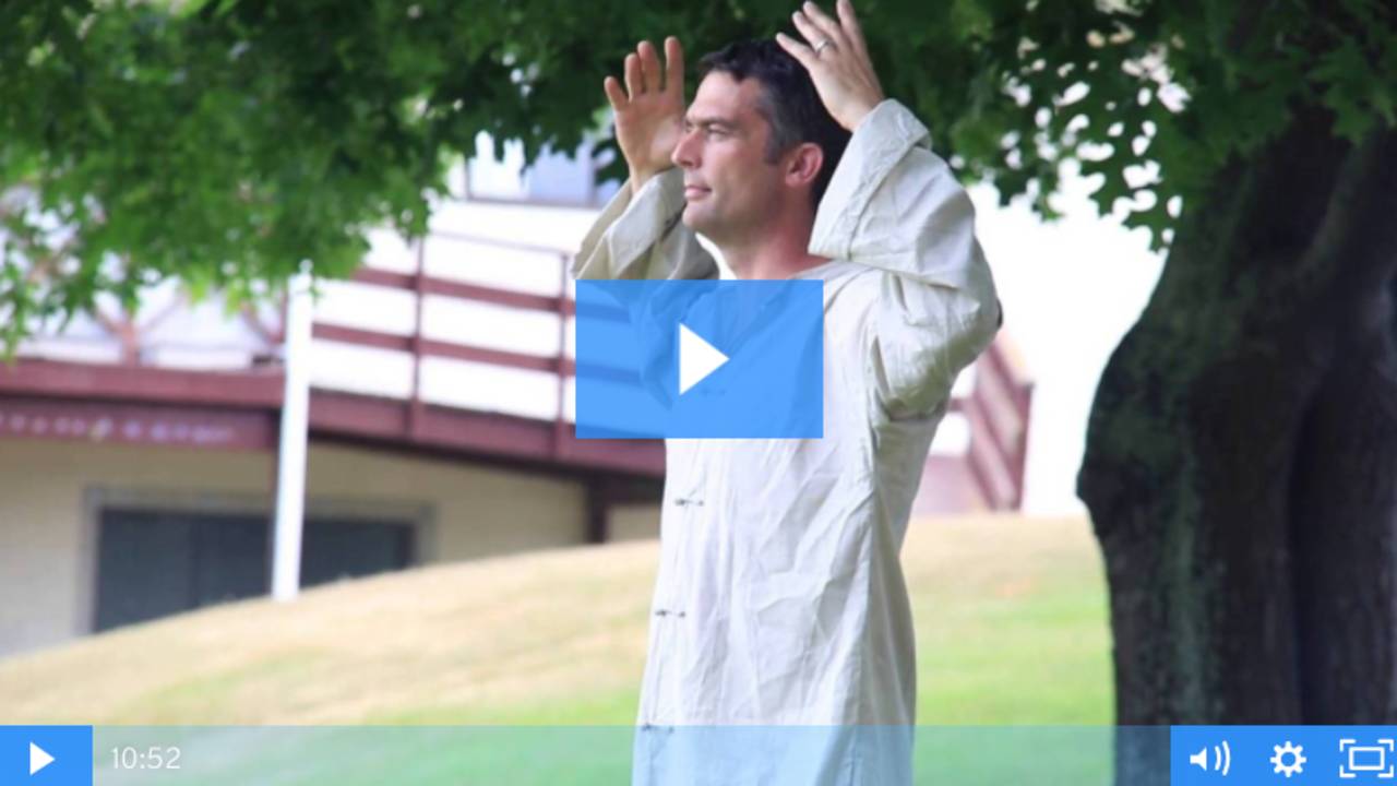 Wild Goose Qigong 1st 64 Demonstration Video
