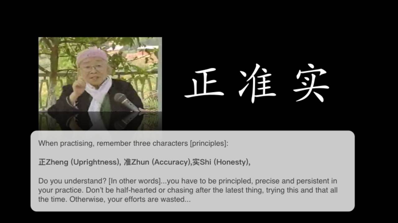 Wild Goose Qigong Grandmaster Yang Mei June in rare interview