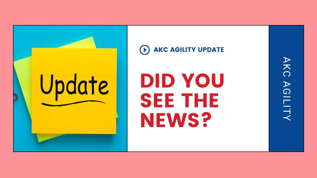 3 AKC Updates That Impact Dog Agility 3 AKC Updates That Impact Dog Agility