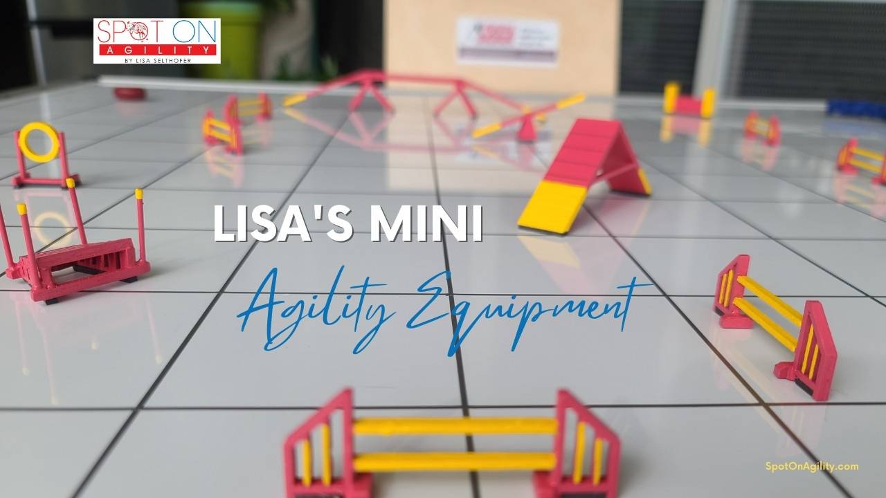 Mini Dog Agility Equipment