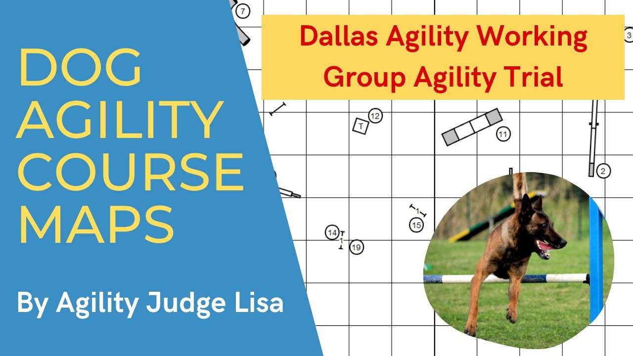 AKC Agility Course Maps Dallas Agility Working Group Sat