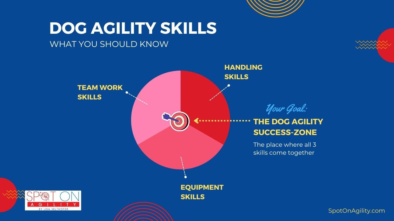 When It Comes to Agility, Take the Short-Cut