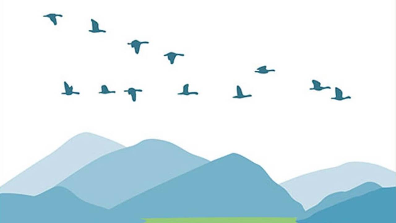 The Power of Fluid Teaming