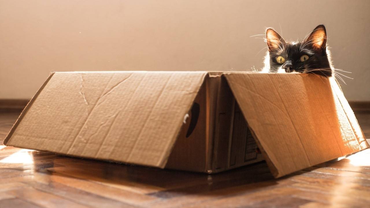 Trigger Activated Stuckness