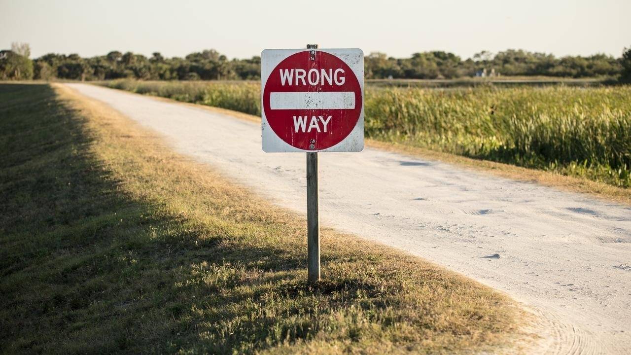 The Wrong Path - Too Many Things