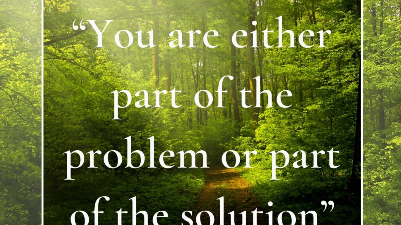 Are You Part of The Problem Or The Solution?
