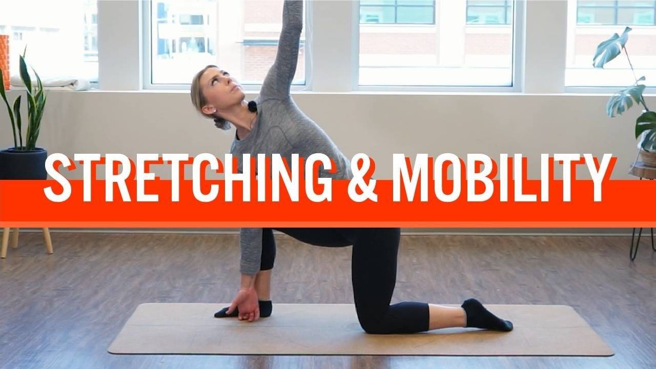 Dynamic Cyclist | Stretches for Cyclists