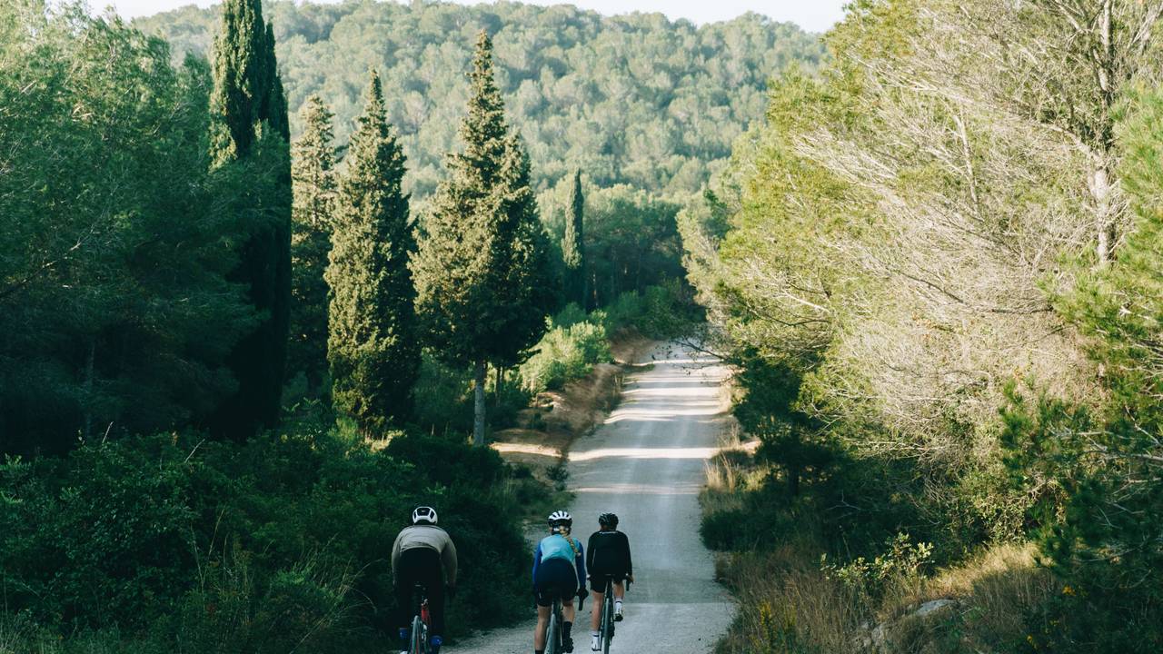 Dynamic Cyclist | Blog