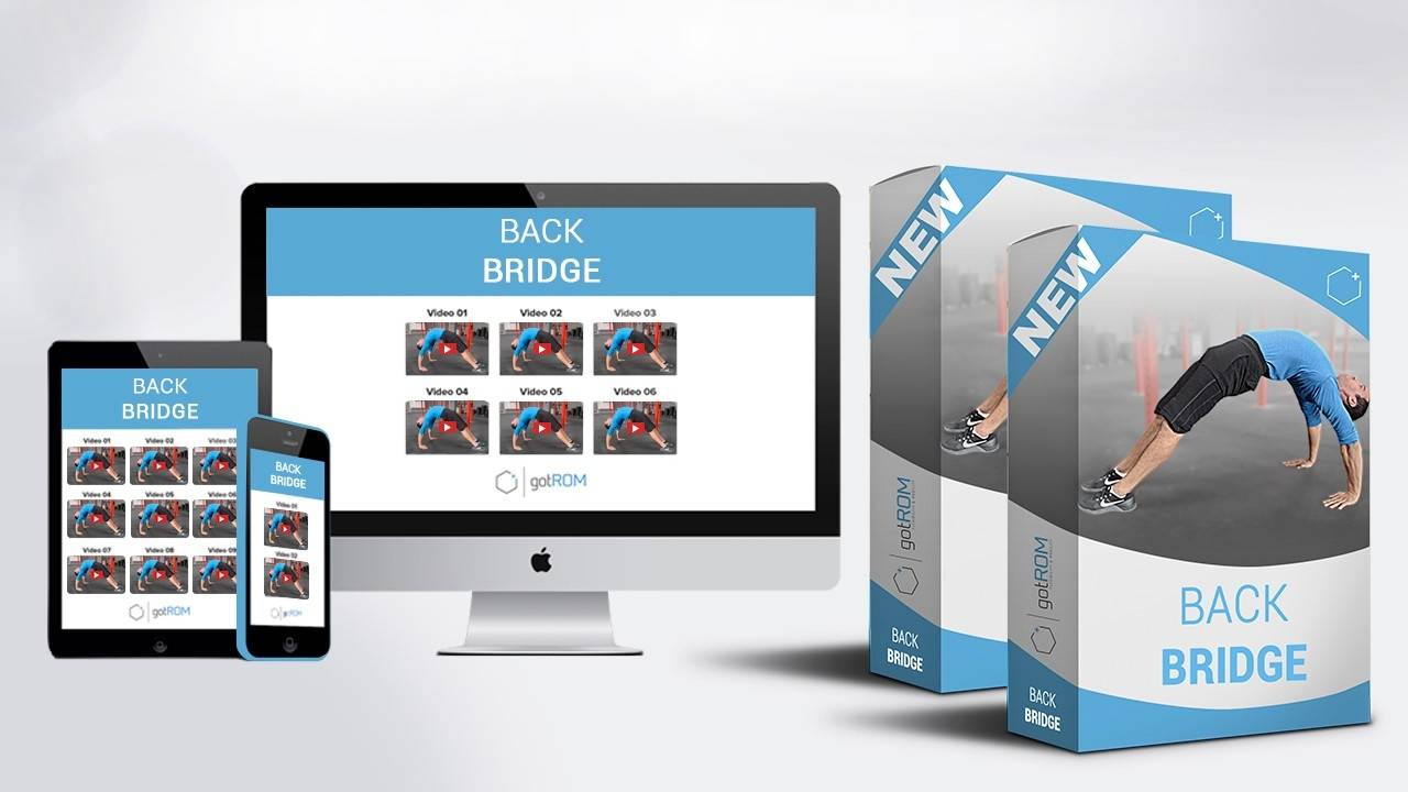 The Back Bridge Program
