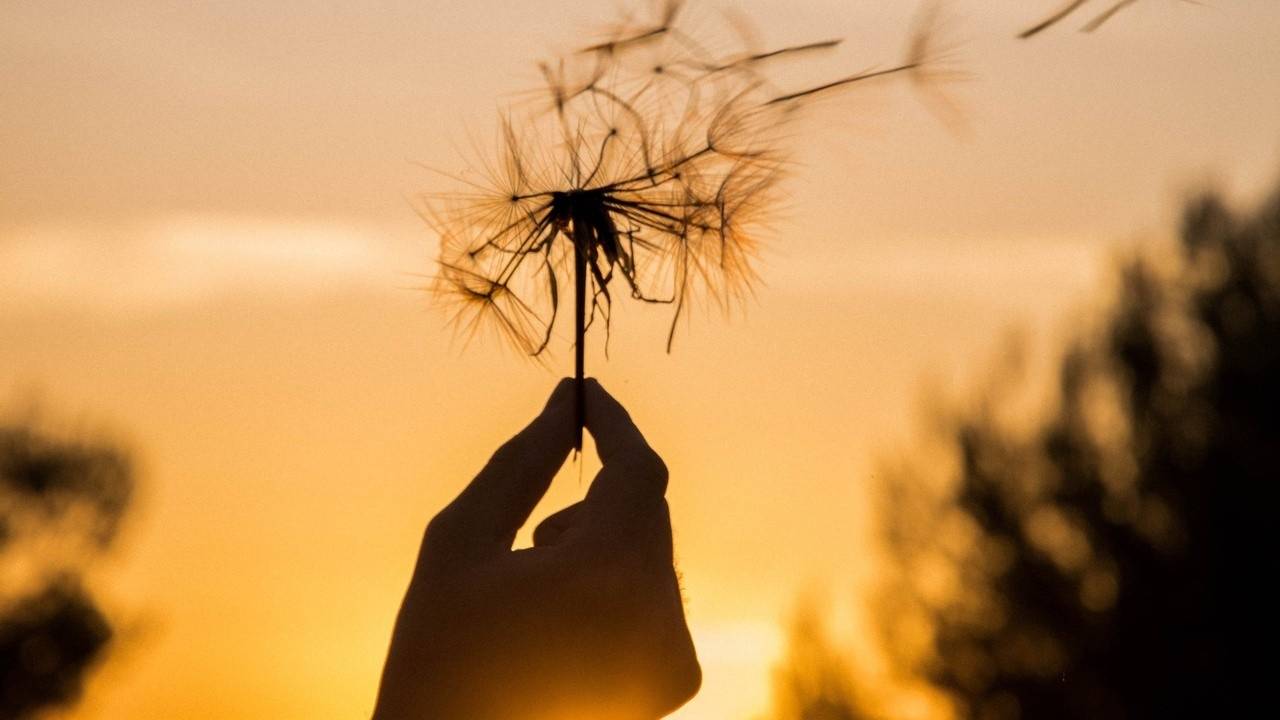 5 Ways to Let It Go!