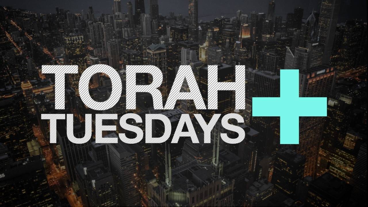 Torah Tuesdays Plus