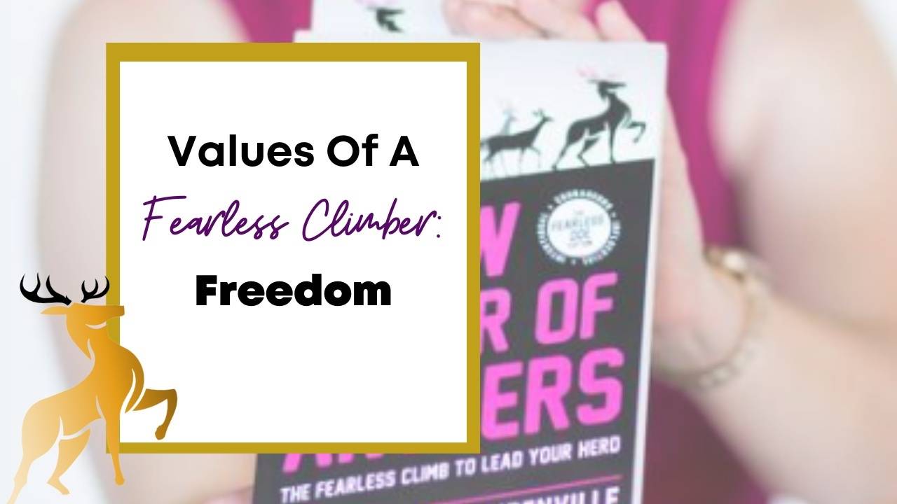 Values of a Fearless Climber: Freedom