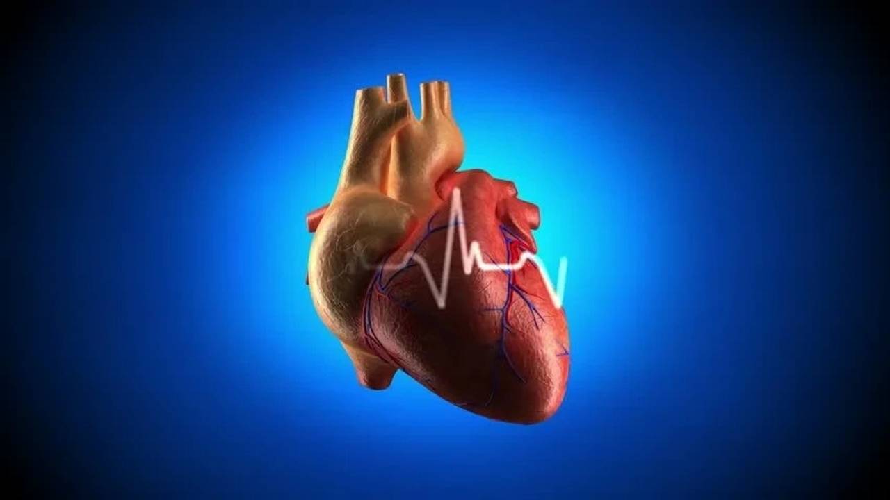 EKG Practice Class Part I Youtube