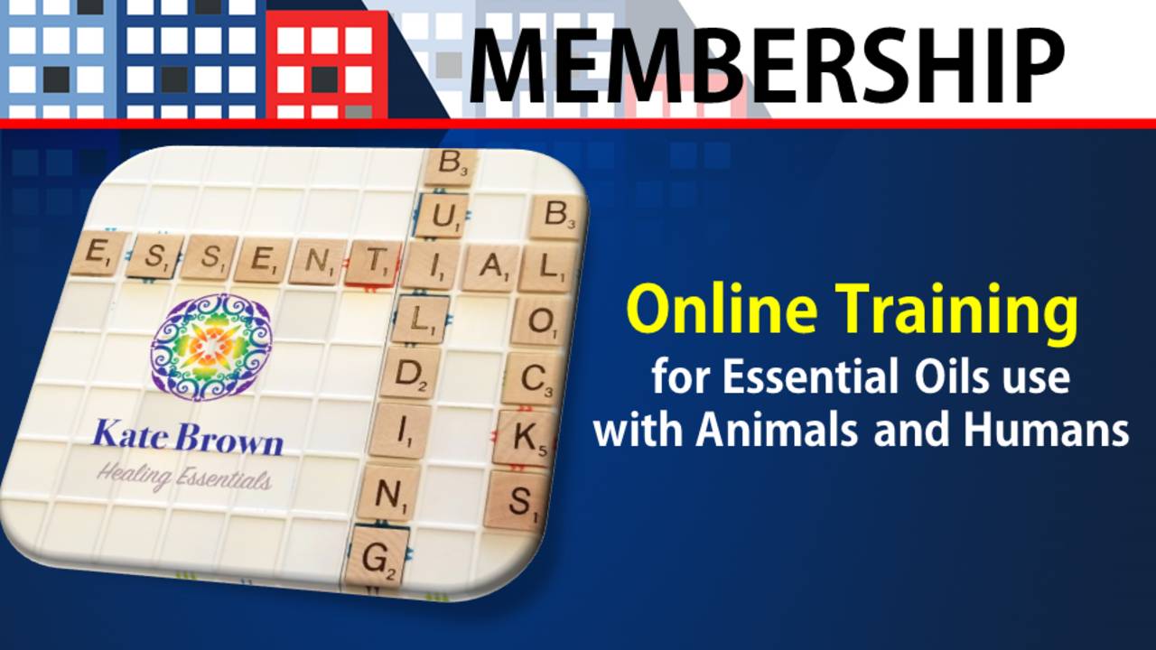 Essential Building Blocks Online Membership