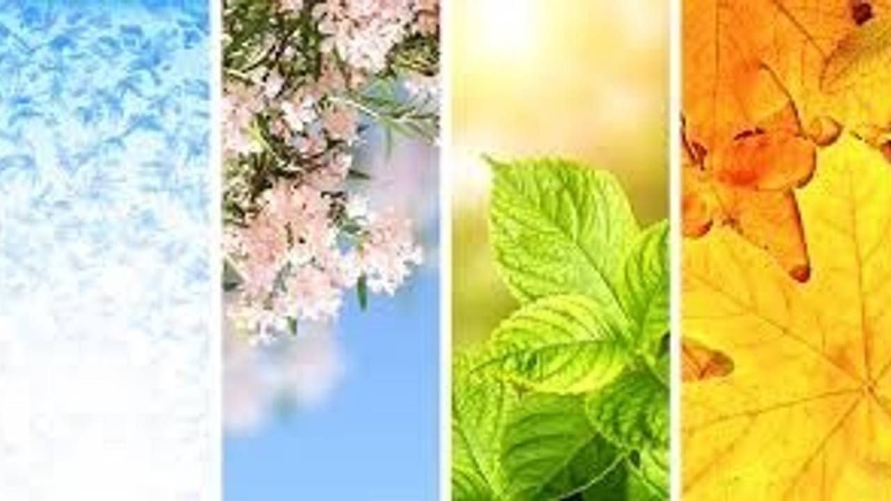 Le cycle des quatre saisons