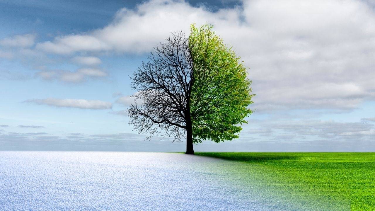 Accepting Change More Easily