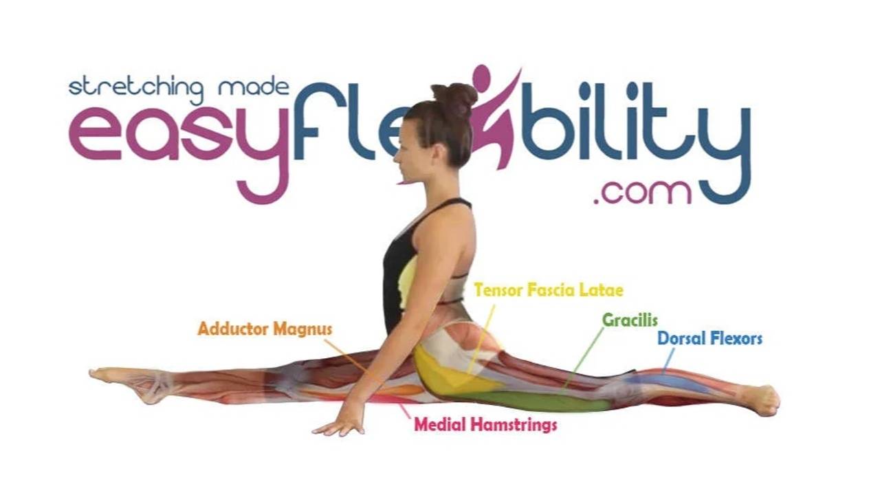 Open Front Split Intermediate