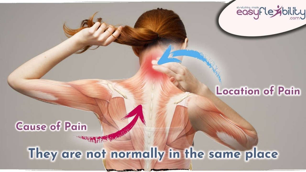 The cause of pain is not at the location of pain - Part 1