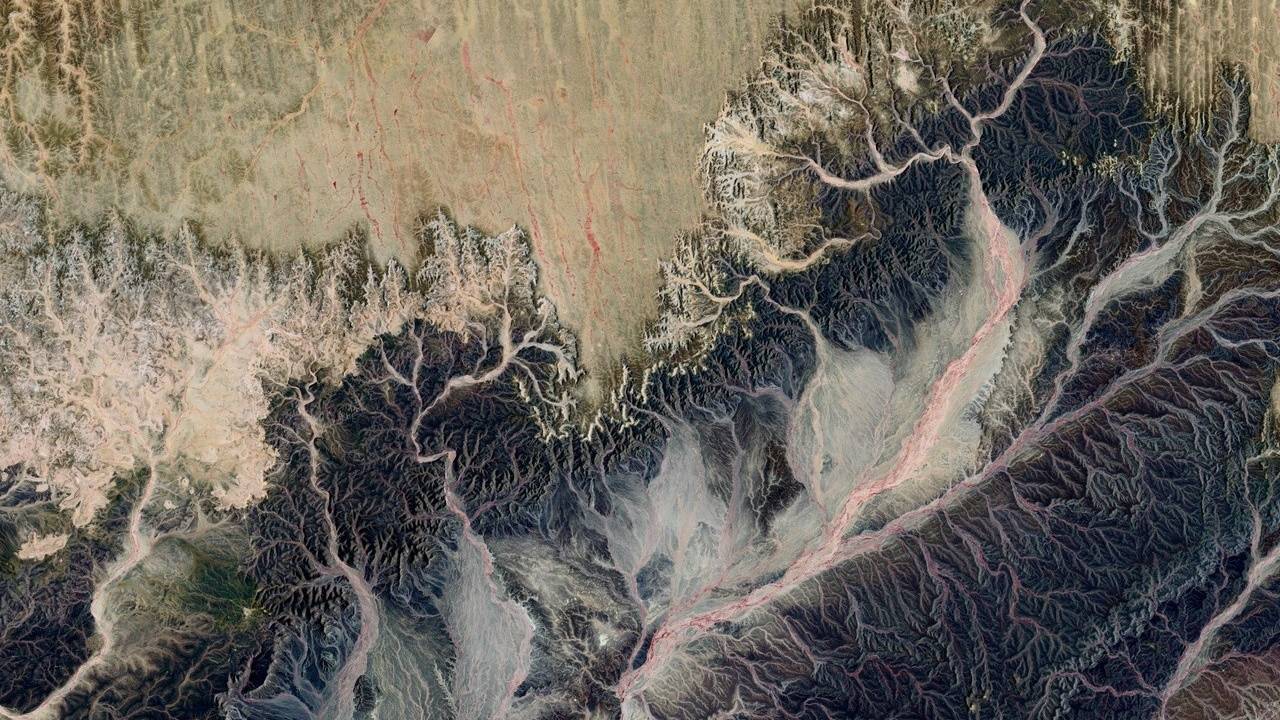 The Flesh of the World