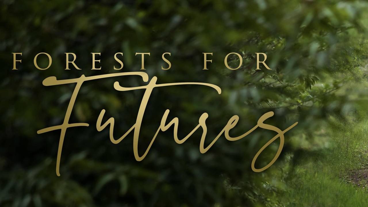 What is Forests For Futures all about?
