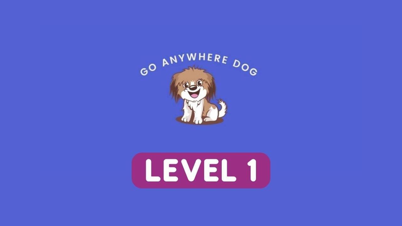 Level 1 Access