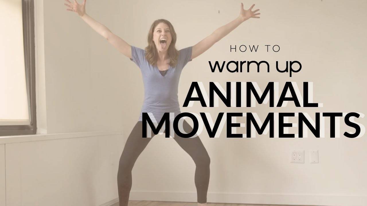 Animal Movements (Body)