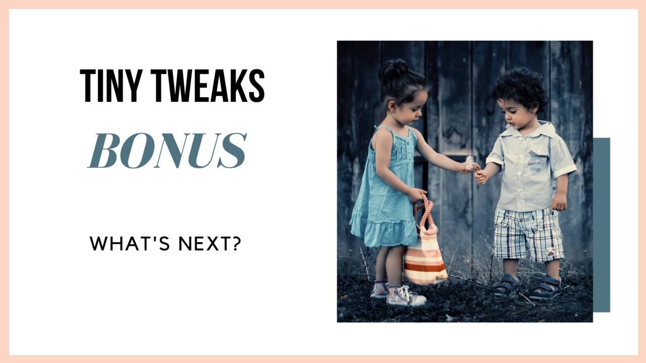Tiny Tweak BONUS
