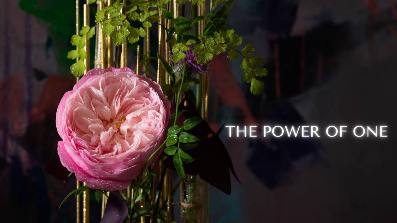 The Power of One