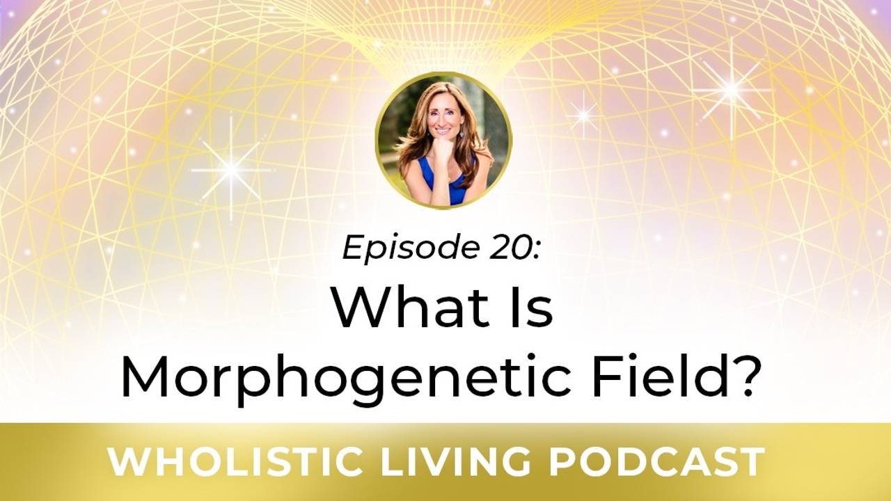 What Is Morphogenetic Field?
