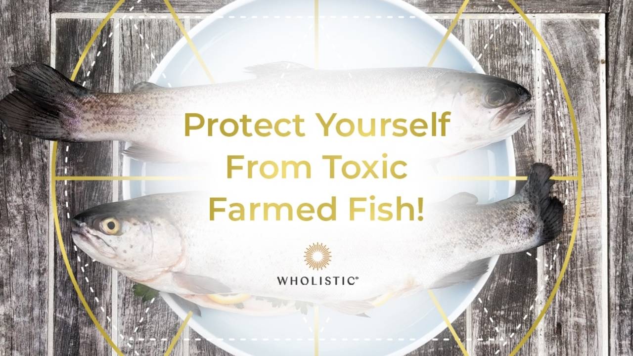 Protect Yourself From Toxic Farmed Fish!