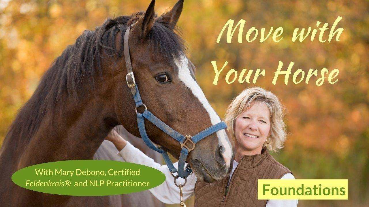 Move with Your Horse Foundations Program