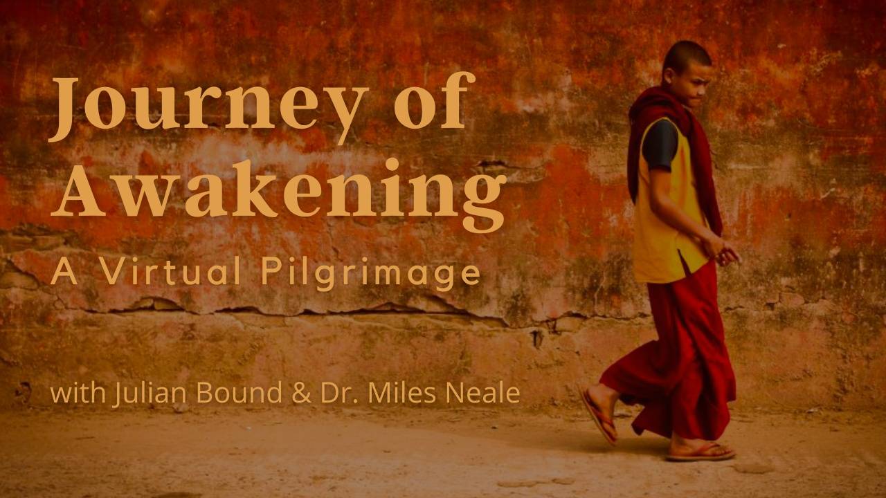 Journey of Awakening: A Virtual Buddhist Pilgrimage