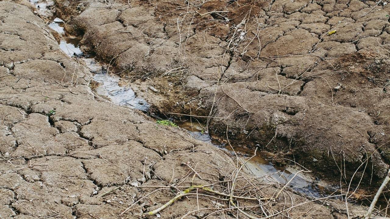 Streams in the Wasteland