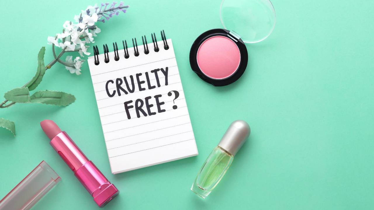 Misleading Makeup Labels and Everything You Need to Know About Them