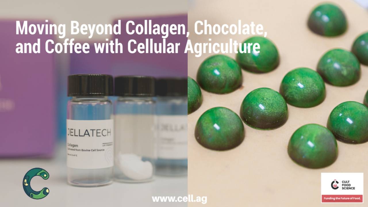 CULT Food Science Series: Beyond Collagen, Chocolate, and Cofee