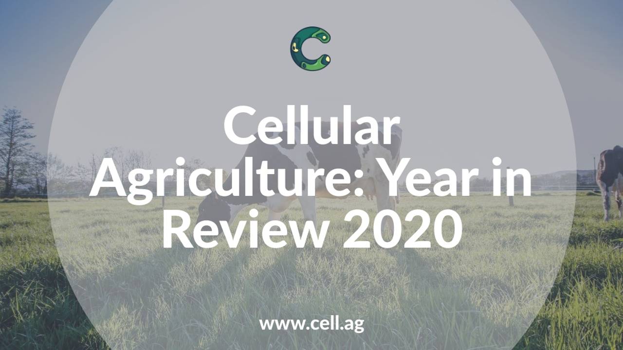 Cellular Agriculture: Year in Review 2020