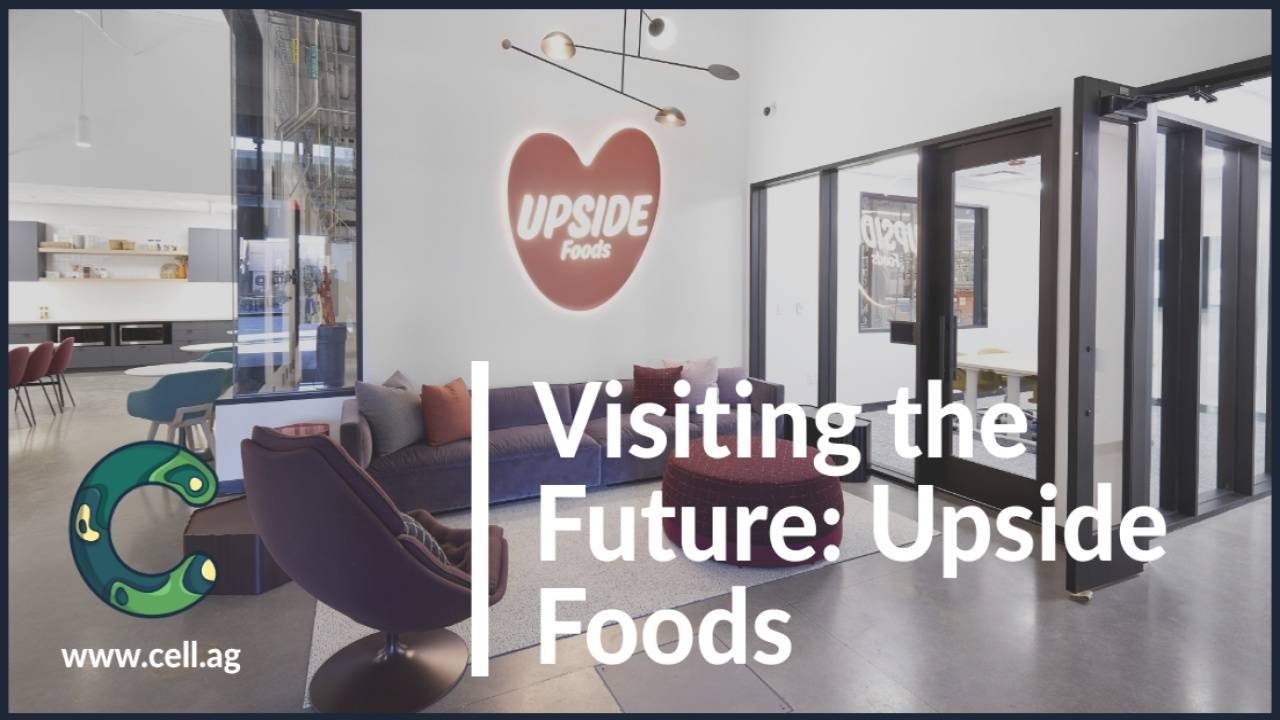 Visiting the Future: Upside Foods