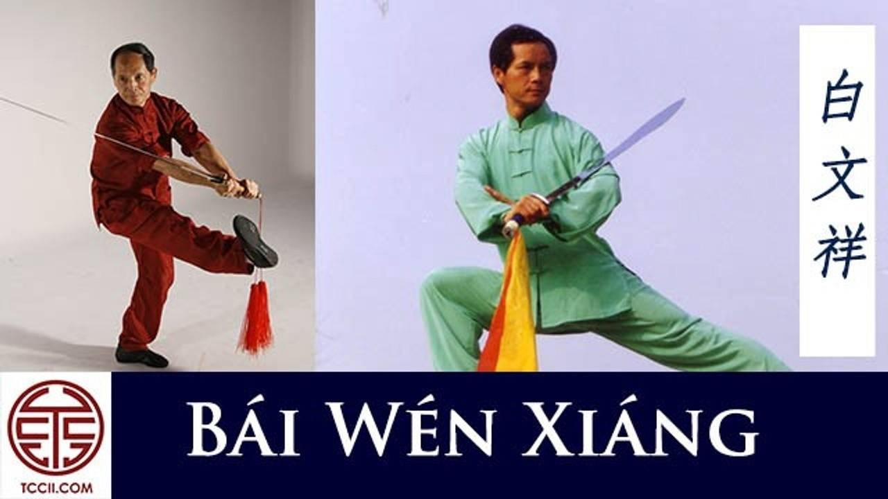 Bai Wenxiang Grand Master Traditional Kung Fu and Wushu