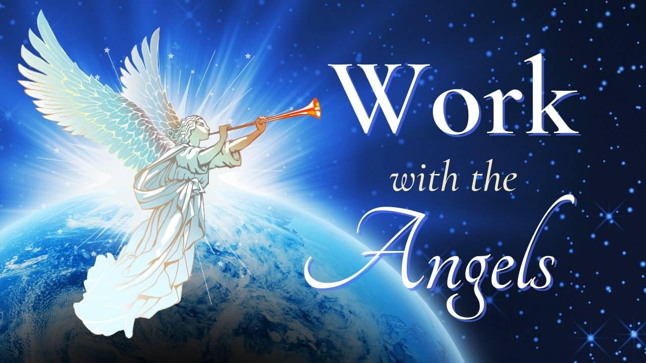 Work With The Angels | New online course with Saratoga Ocean