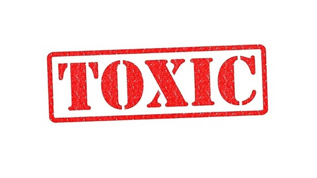 Navigating Our Toxic Environment - Kelly Brogan MD