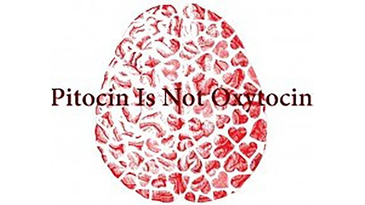Pitocin Is Not Oxytocin - Kelly Brogan MD