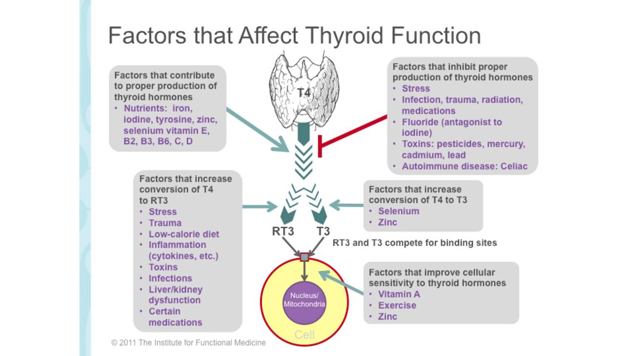 Thyroid Dysfunction and Treatment - Kelly Brogan MD